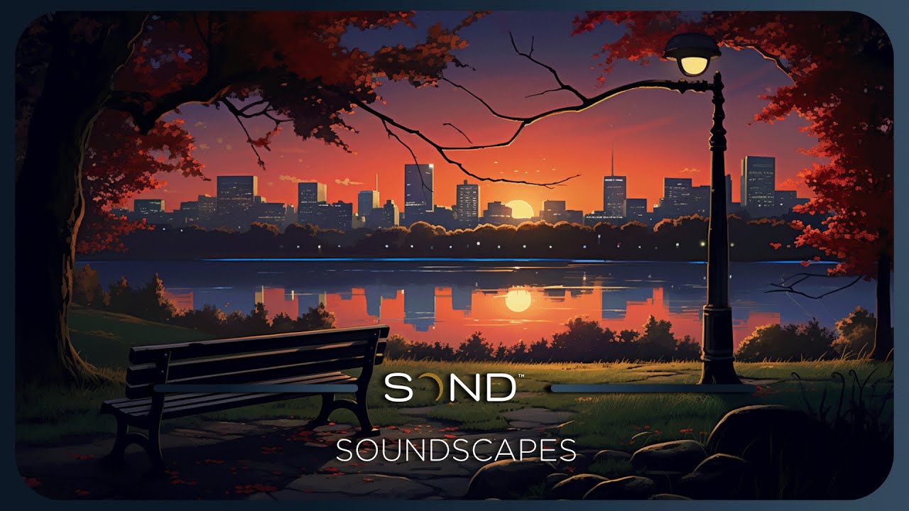 The Perfect Urban Soundscape To Help You Fall Asleep | Ambience, ASMR ...