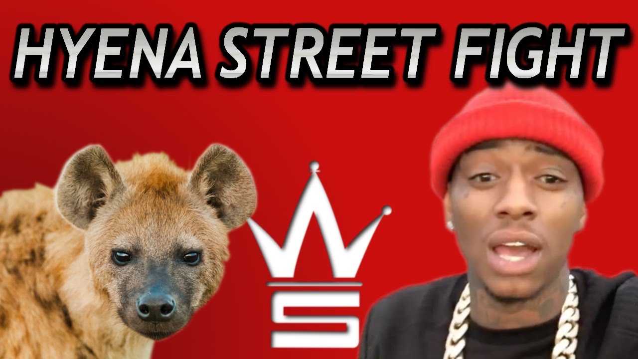 HYENA STREET FIGHT PRANK IN COMPTON (GONE WRONG) (GUN PULLED) - YouTube