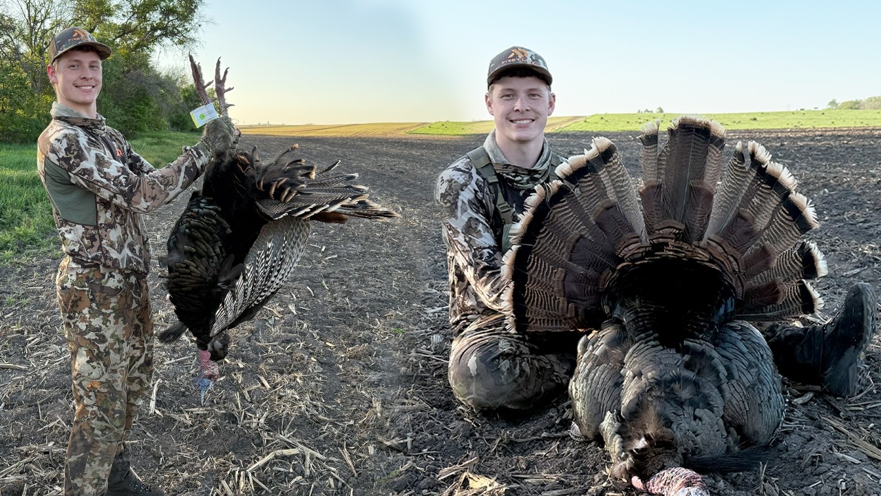 Bow Hunting with NO BLIND!! | Toms Come RUNNING! - YouTube