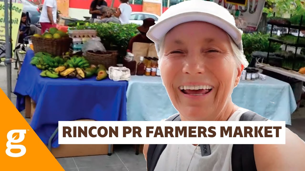Sunday morning at the Rincon farmers market (life in Puerto Rico) - YouTube