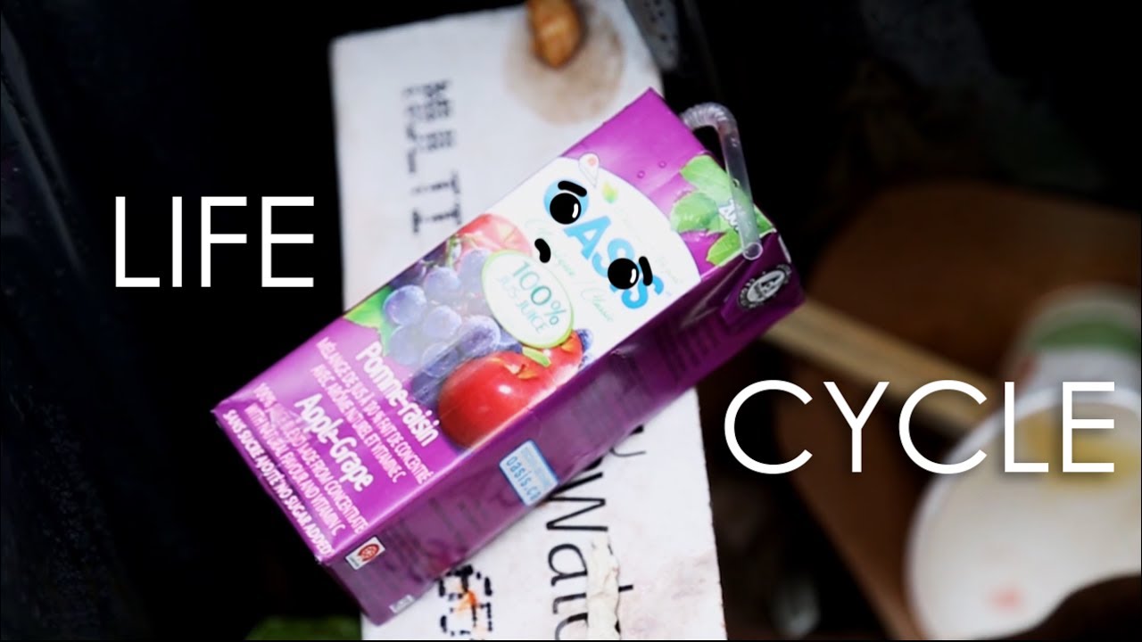 Life Cycle - Short Animated Film - YouTube