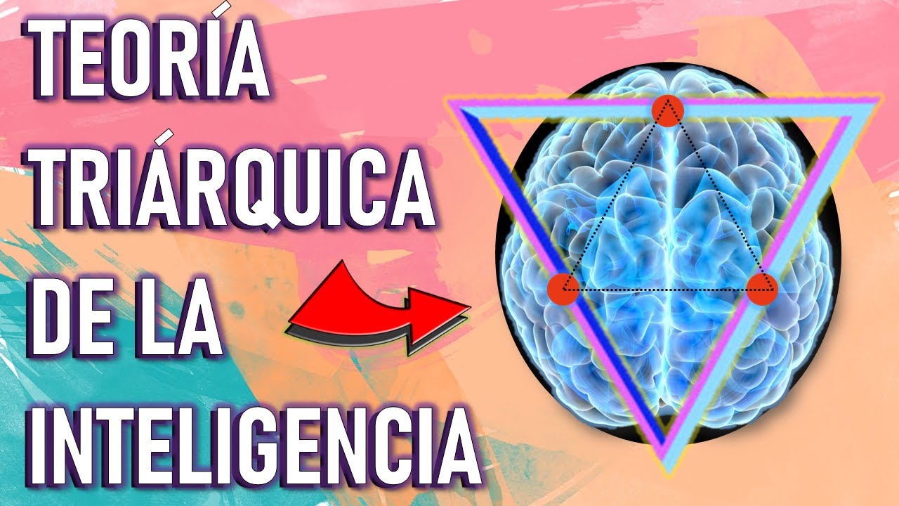 TEORÍA TRIÁRQUICA DE LA INTELIGENCIA | Robert Sternberg - Conceptos ...