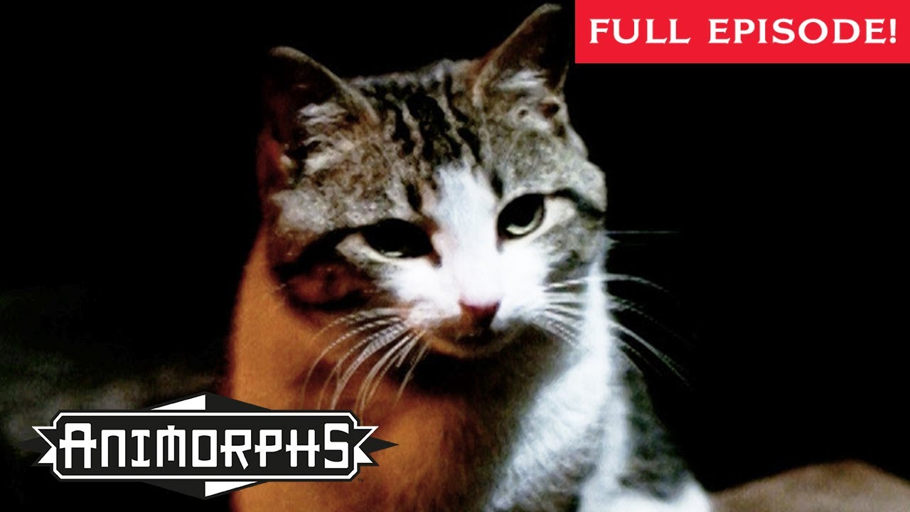 Between Friends | Full Episode | Animorphs | Scholastic Classic - YouTube