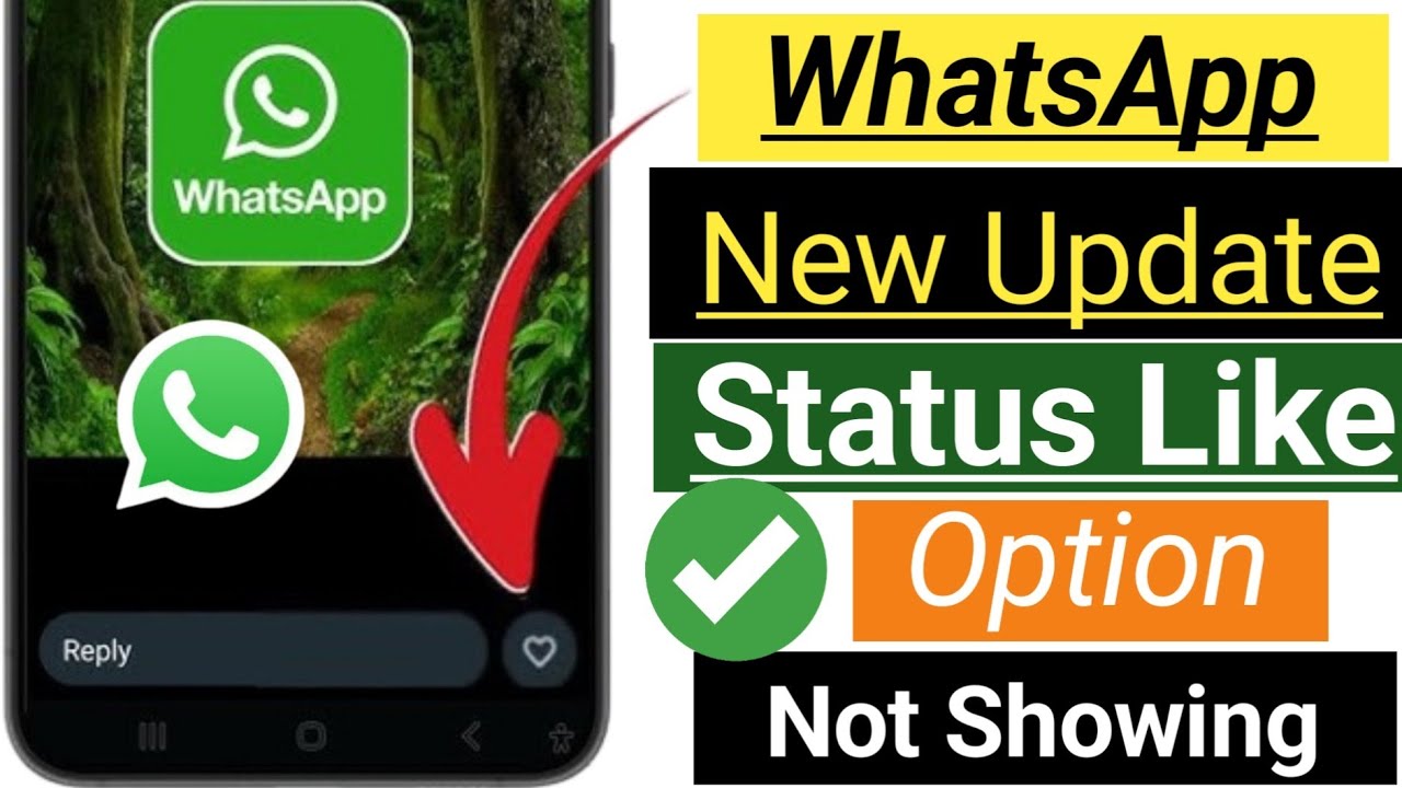 WhatsApp Status Like Option New Update | How to Fix WhatsApp Status ...
