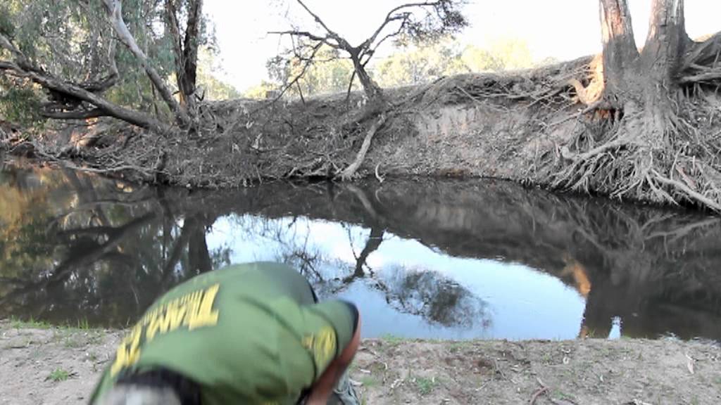 Choosing which surface lure for Murray cod fishing. - YouTube