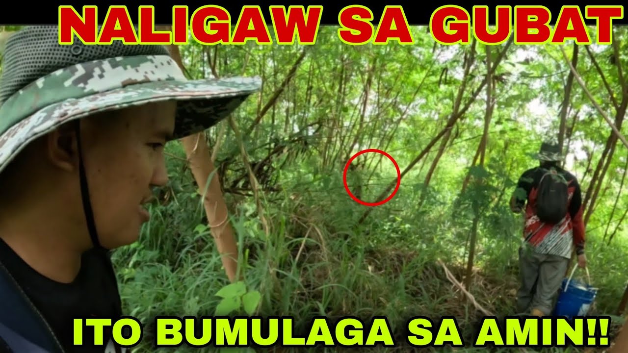 DAMING ISDA PARANG FISH POND DITO - YouTube