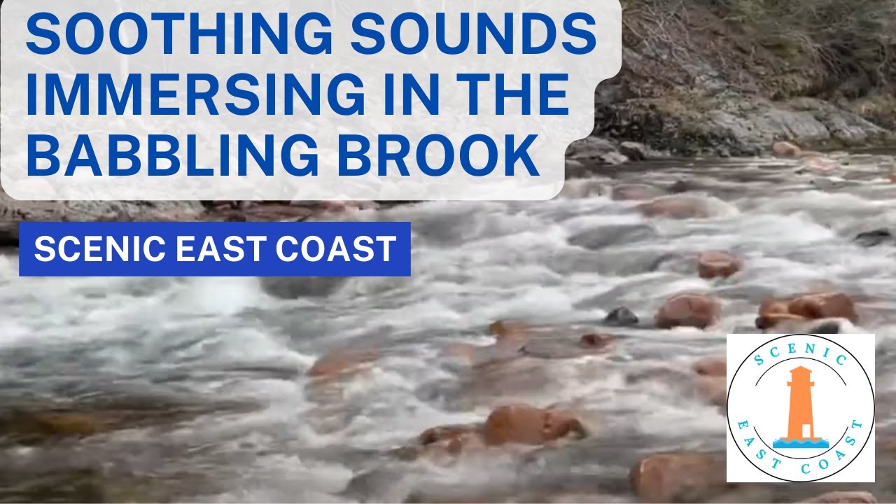 Soothing Sounds: Immersing in the Babbling Brook - YouTube