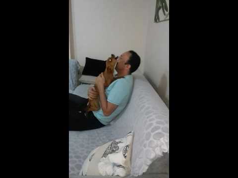 Sahibi ağladığın da ağıt yakan köpekcik