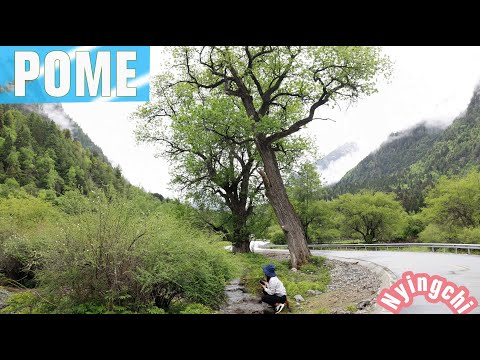 Different Pome, Green Tibet