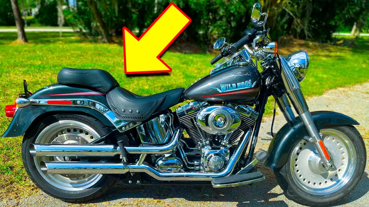 15 Weird Facts You Didn’t Know About Harley-Davidson Bikes in Wild Hogs ...