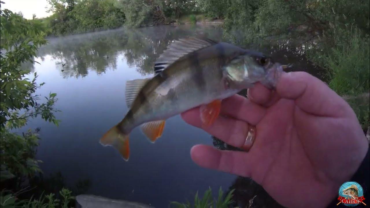 Предобзор тревел НАВАХО Мормышка (Олта), 1.68м, 0.2-1г - YouTube