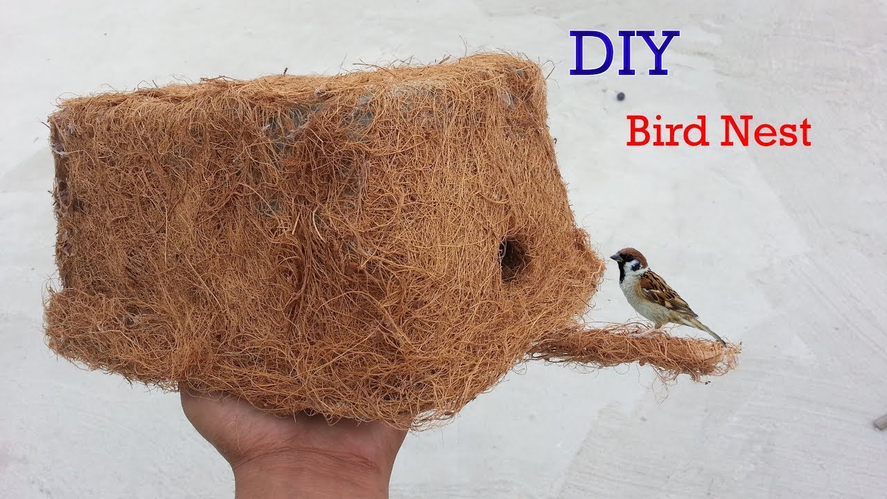 DIY How To Make Bird Nest YouTube diy-how-to-make-bird-nest-youtube