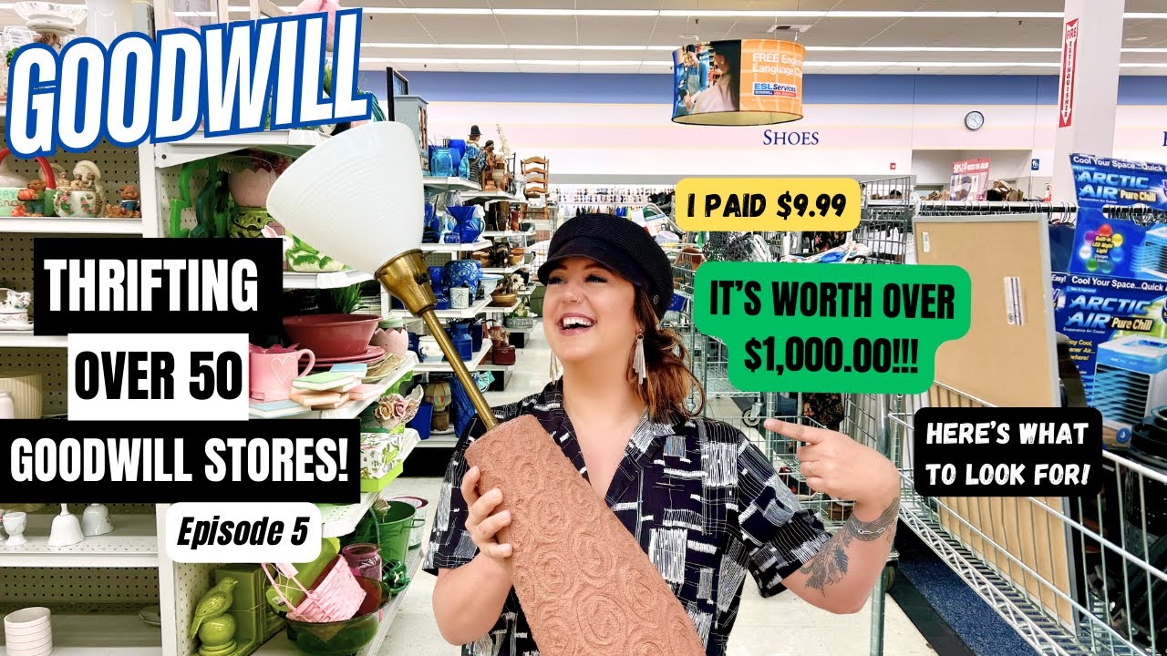 MY BEST FIND YET!! THRIFTING OVER 50+ GOODWILL THRIFT STORES! Thrift ...