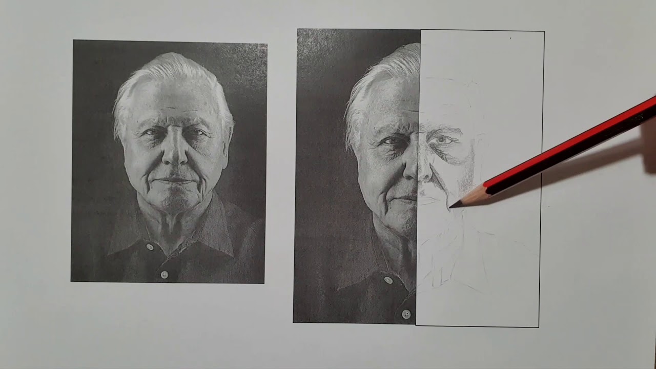 Drawing David Attenborough - YouTube