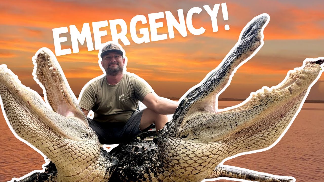 GATOR INFESTED LAKE GETS EMERGENCY HELP FROM FLORIDA MAN! (Swamp ...