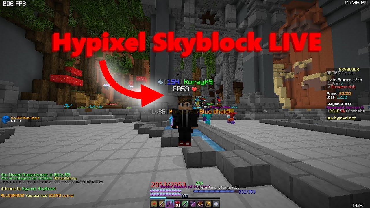 Hypixel Skyblock Live - [DE/EN] - YouTube