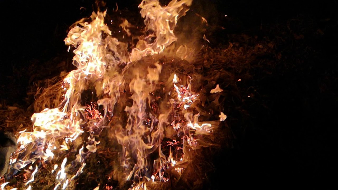 Shits on fire - YouTube