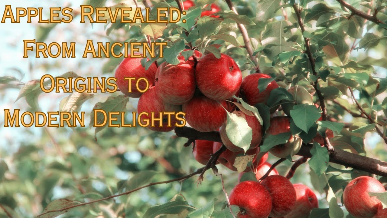 Apples Revealed: From Ancient Origins to Modern Delights #farming # ...