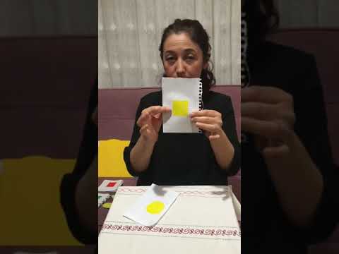 Evde Geometrik Şekiller Öğretimi Jale Kirman Faki Milas ROMK  Özel Eğitim Uygulama Okulu Menteş