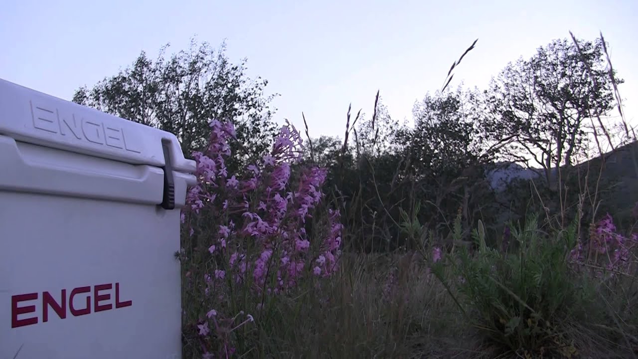 Engel USA - YouTube