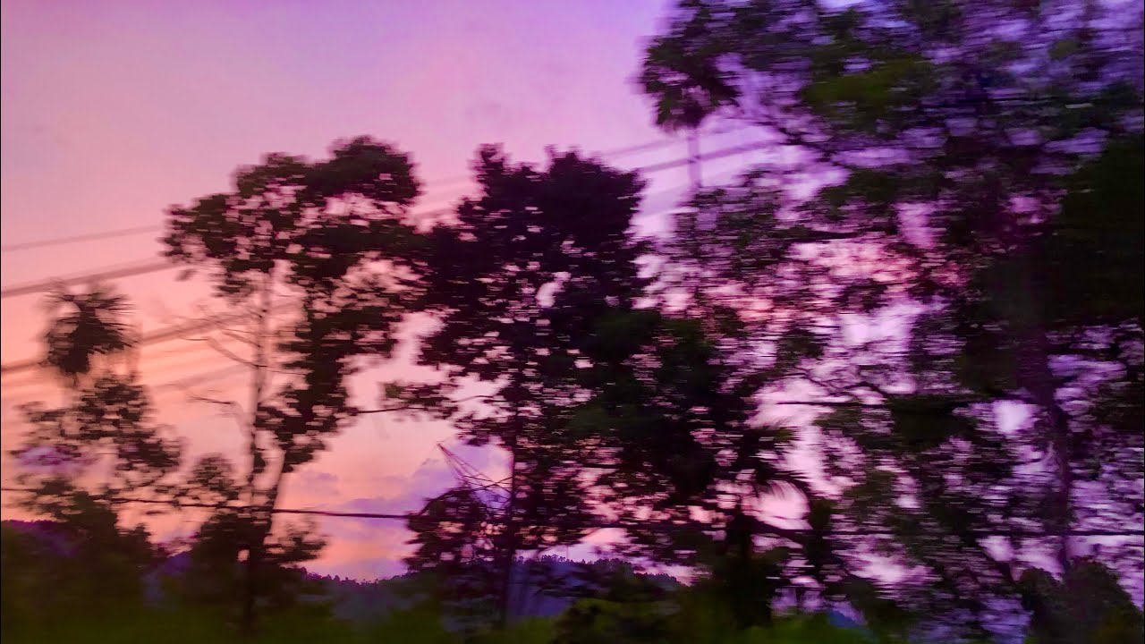 𝙿𝚊𝚢𝚍𝚊𝚢 - 𝙳𝚘𝚓𝚊 𝙲𝚊𝚝 (𝚂𝚕𝚘𝚠𝚎𝚍 & 𝚁𝚎𝚟𝚎𝚛𝚋 + 𝙼𝚞𝚏𝚏𝚕𝚎𝚍) - YouTube