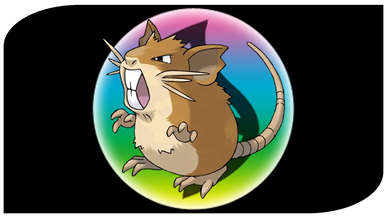 Mega Raticate Concept - YouTube