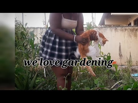 keep it fun - YouTube
