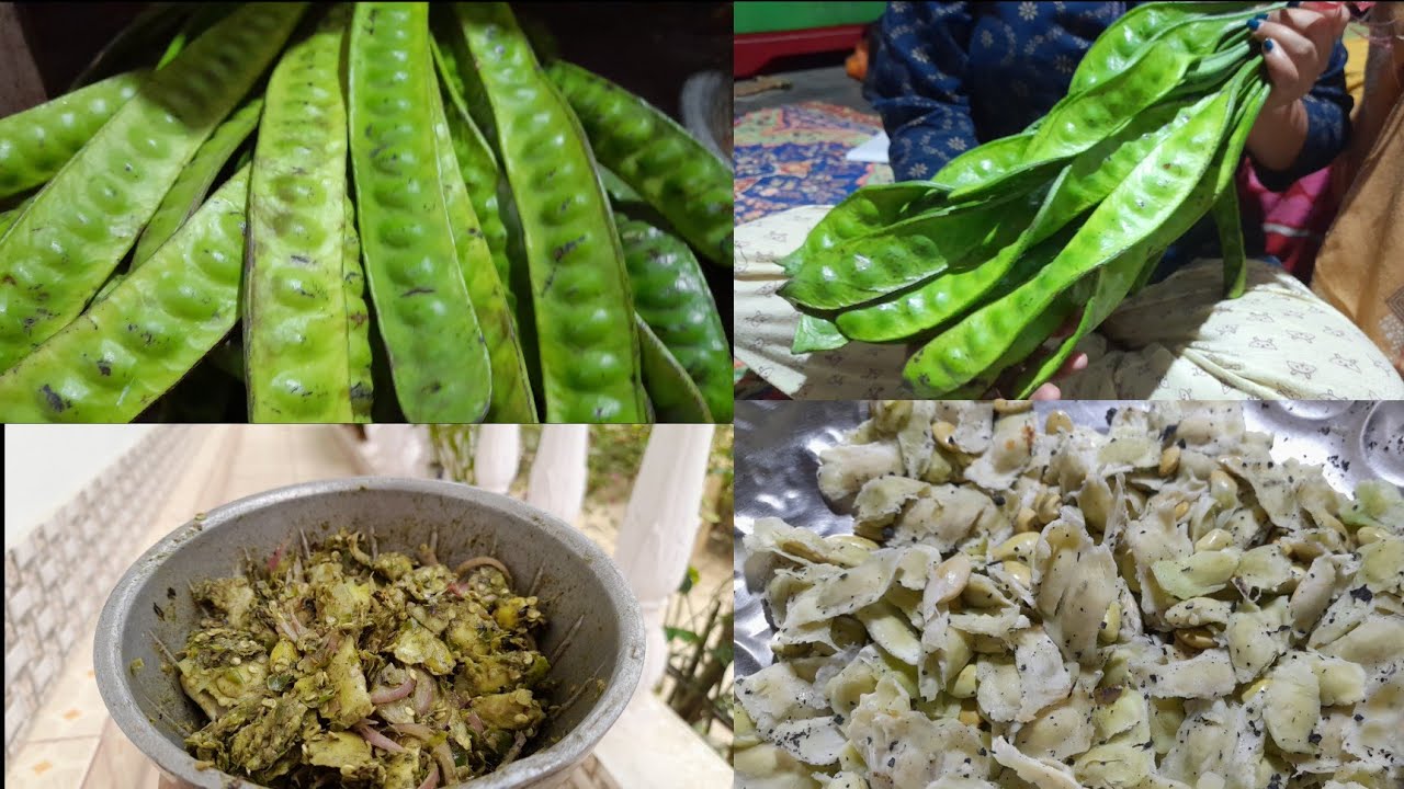 How to Eat STING BEANS( Petai ) Tripura Style | Eating & 🌶 Spicy . - YouTube