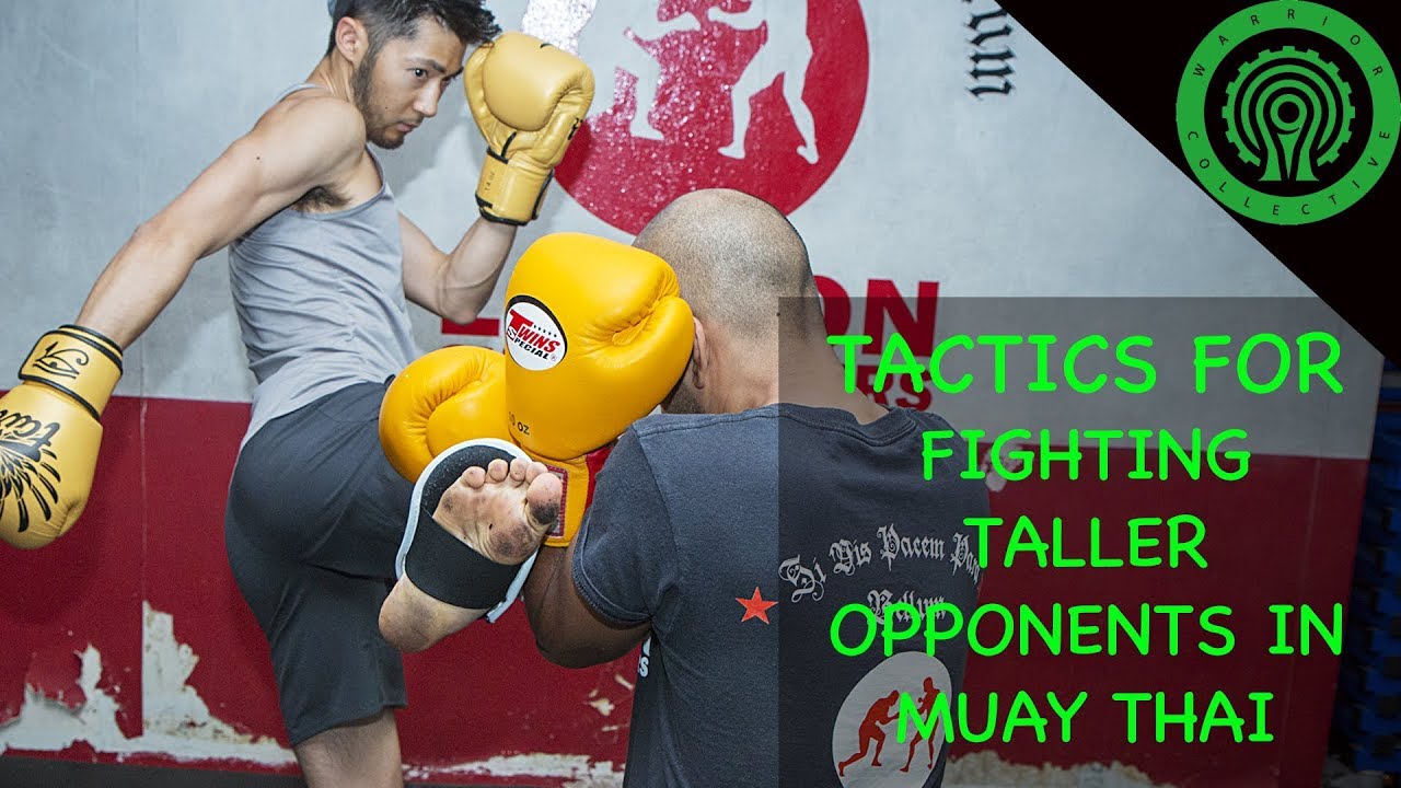 Muay Thai Fighting Taller Opponents - Countering the Body Kick - YouTube