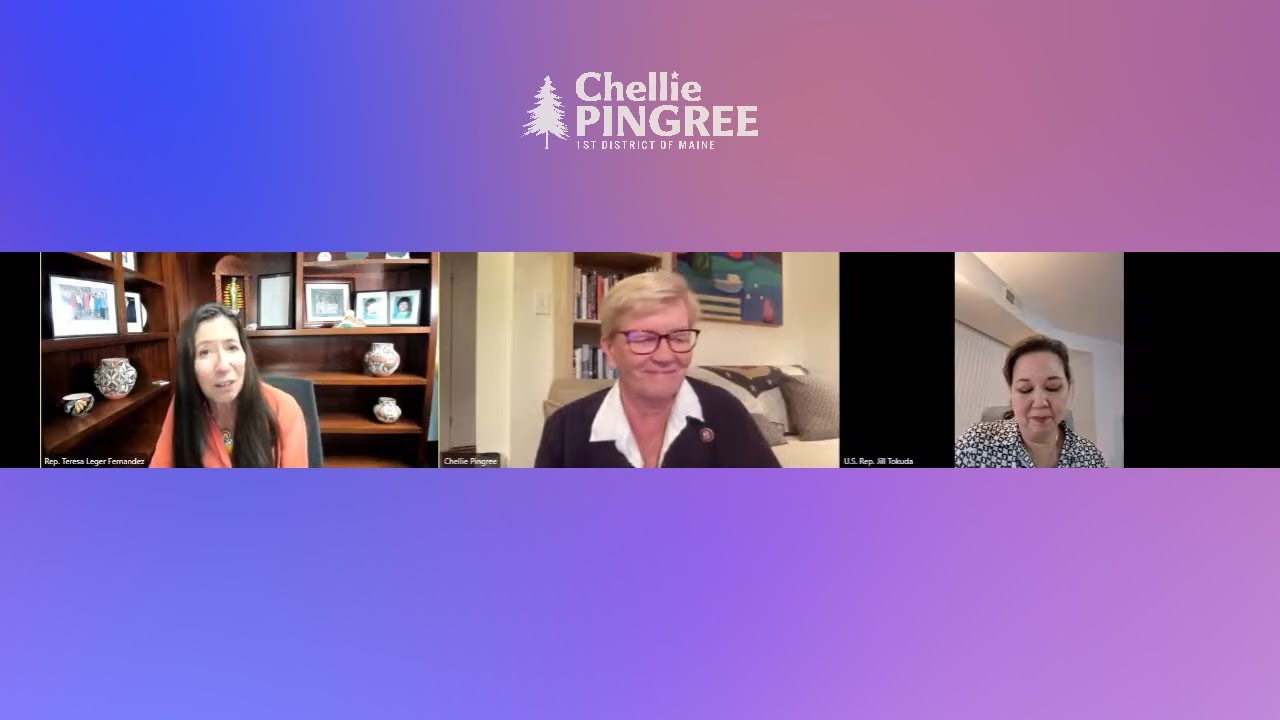 Pingree, Democratic Women’s Caucus Talk Republican Shutdown - YouTube