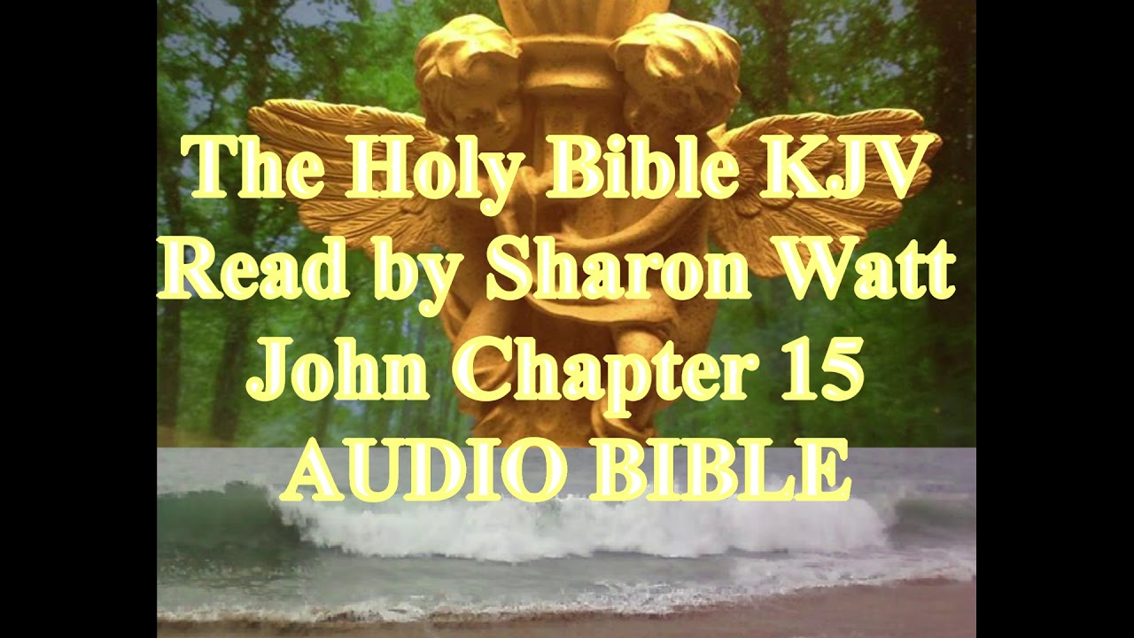 The Holy Bible KJV, Book of John, Chapter 15, Read by Sharon Watt ...