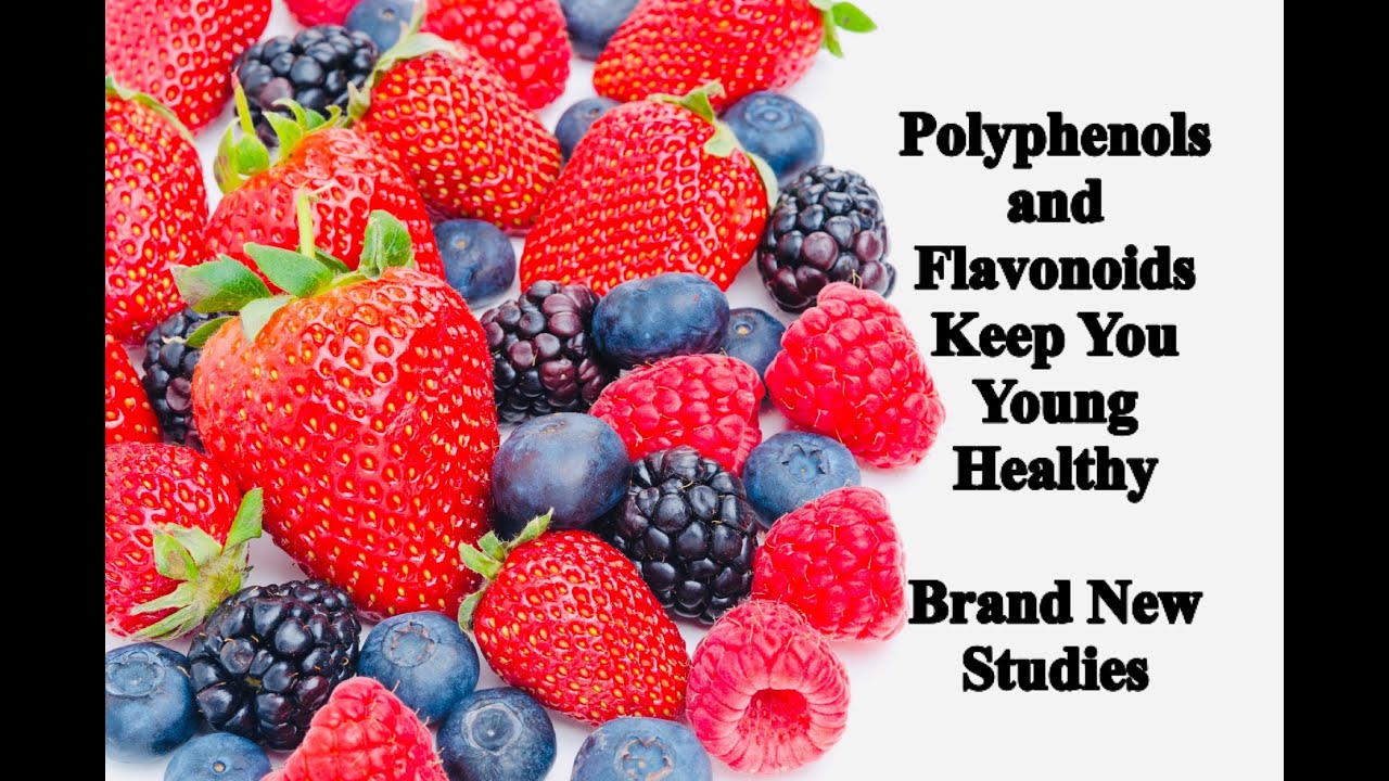 Polyphenols and Flavonoids Keep You Young and Healthy - Brand New ...