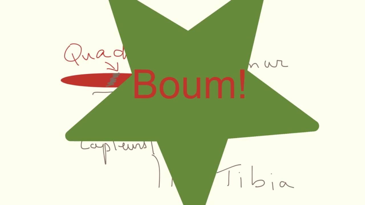 Le reflexe ostéo tendineux rotulien - YouTube