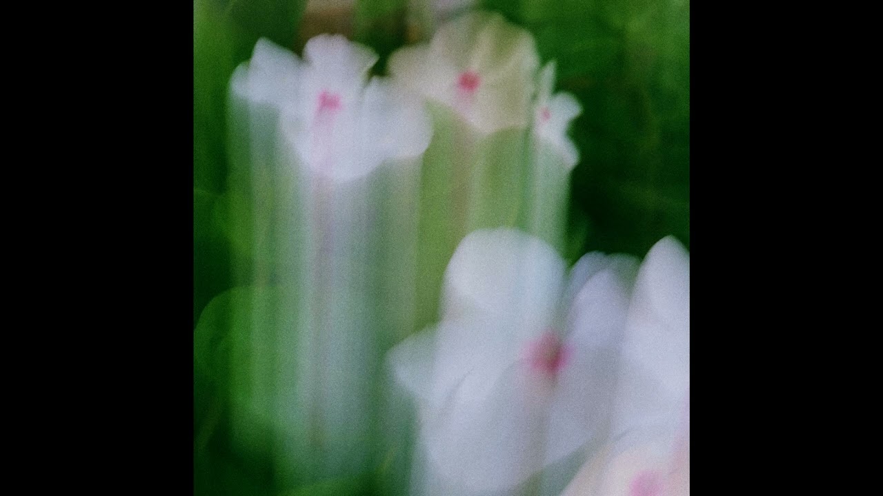 (FREE) Acoustic Guitar Type Beat - "STARTING NEW" - YouTube