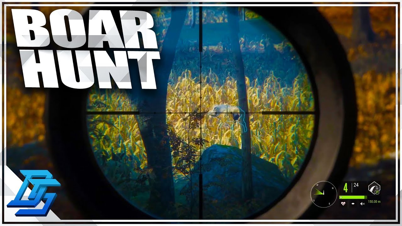 BOAR HUNT, Multiplayer Hunts!- TheHunter : Call of the Wild ...