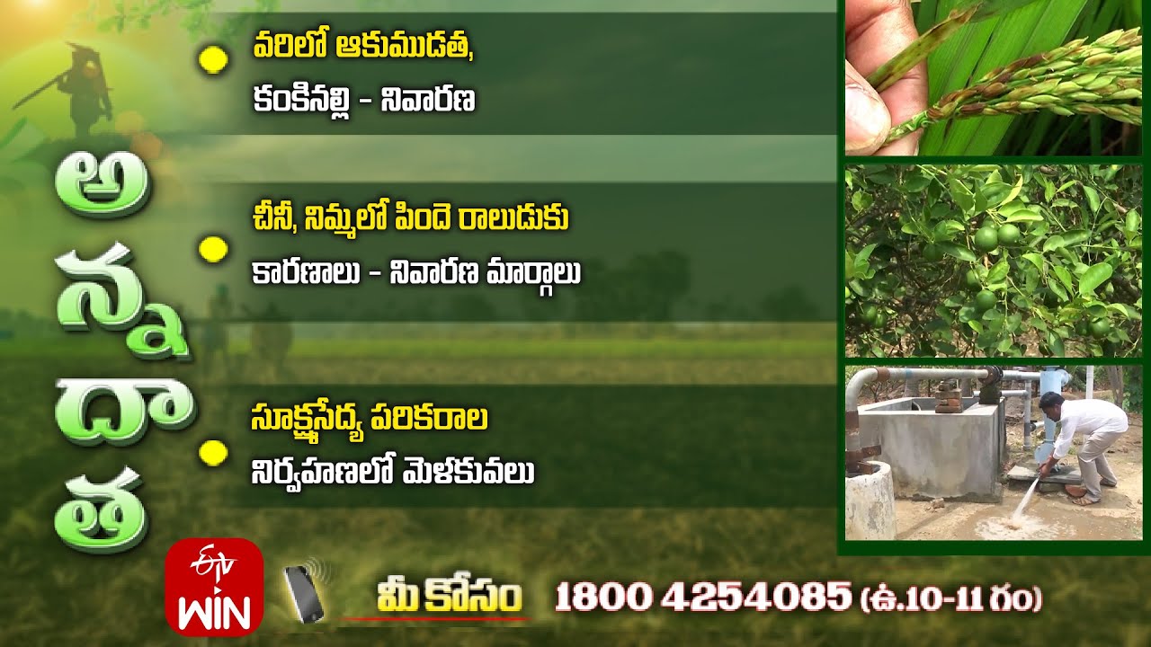 23rd March 2024 | Annadata | అన్నదాత | Full Episode | ETV Telugu - YouTube