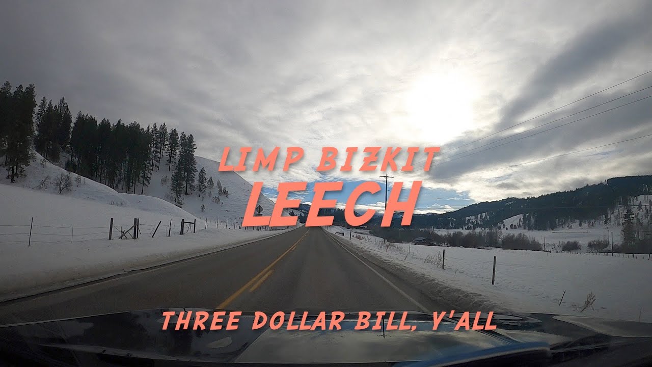 Limp Bizkit - Leech (Lyrics) - YouTube