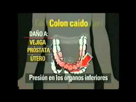 Aloe Solucion colon toxico 2 2 - YouTube