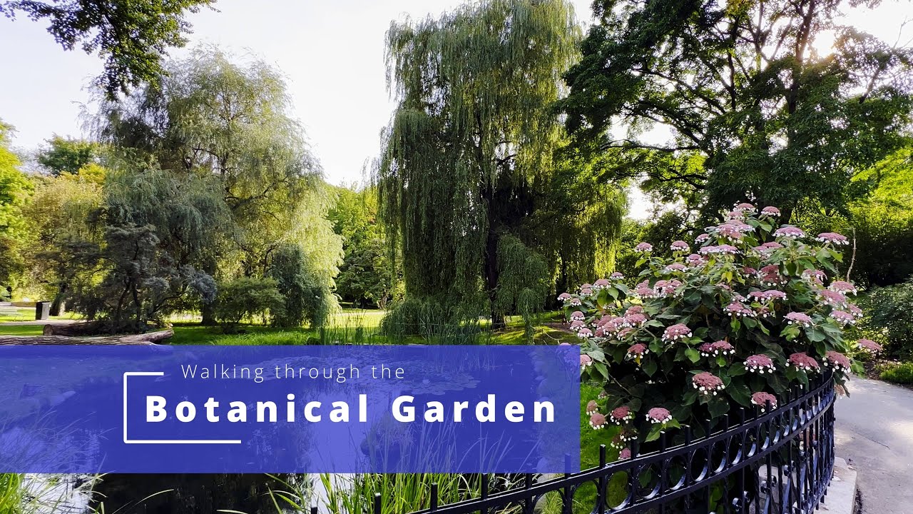 Walking Through the Botanical Garden in Oslo Norway - Lush and ...