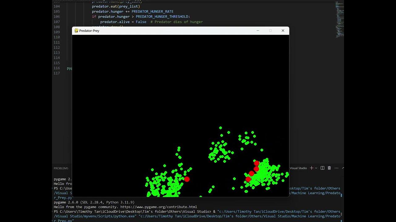 Python Predator-Prey Simulation - YouTube