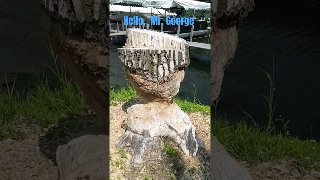 Hello, Mr. George meme - YouTube