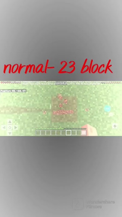 Minecraft how many block survive #short - YouTube