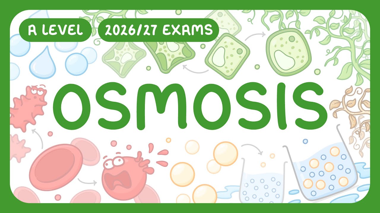 A-Level Biology - Osmosis - Water Potential | Osmosis in Animal & Plant ...