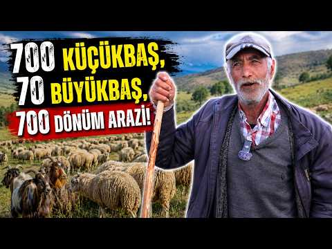 700 Küçükbaş, 70 Büyükbaş! Köyde Kurduğu Hayatı Anlattı