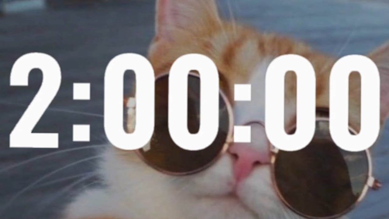 cat countdown timer | 2 hours - YouTube
