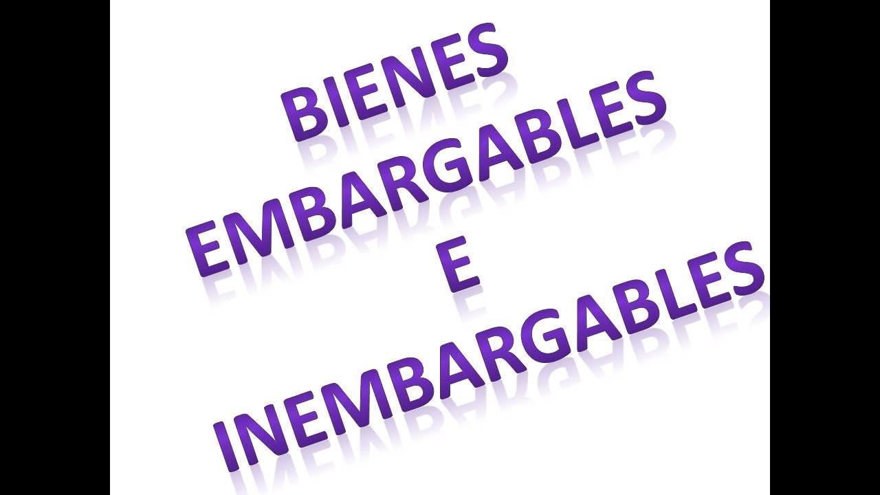 BIENES EMBARGABLES E INEMBARGABLES - YouTube