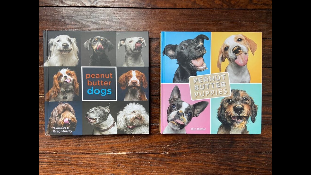 FUN AND PHOTOGRAPHY WITH DOGS AND PEANUT BUTTER GREG MURRAY PEANUT ...