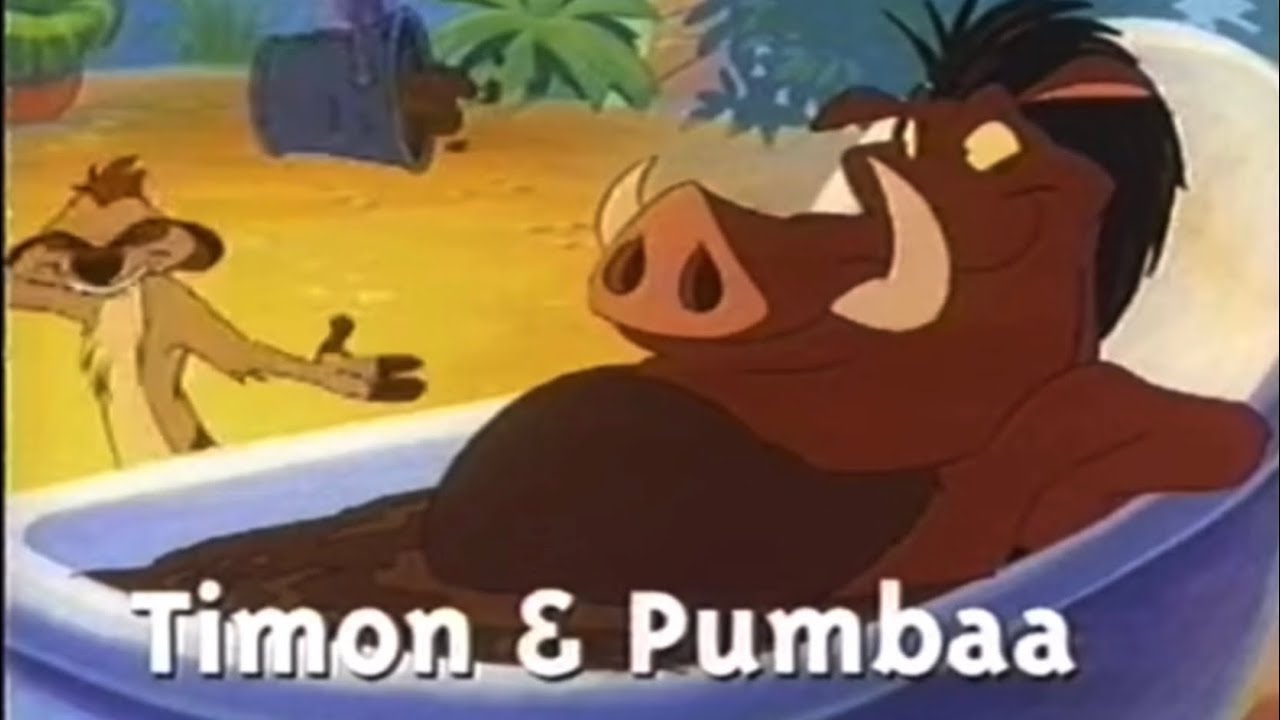 1997 Disney Channel Timon & Pumbaa Commercial - YouTube
