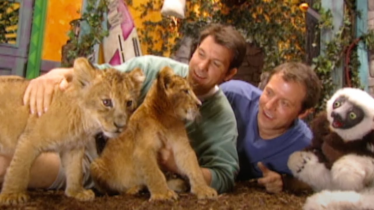 Zoboomafoo - Lion Cubs | WildBrain Zoo | Animal Lovers Kids Show - YouTube