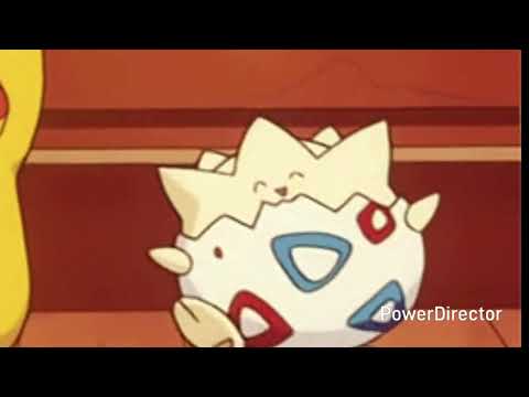 The Birds of Madagascar KaylaColeman Animate2009 style intro 